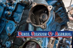 Marine Diesel Fuel Injectors - Diesel Services of America